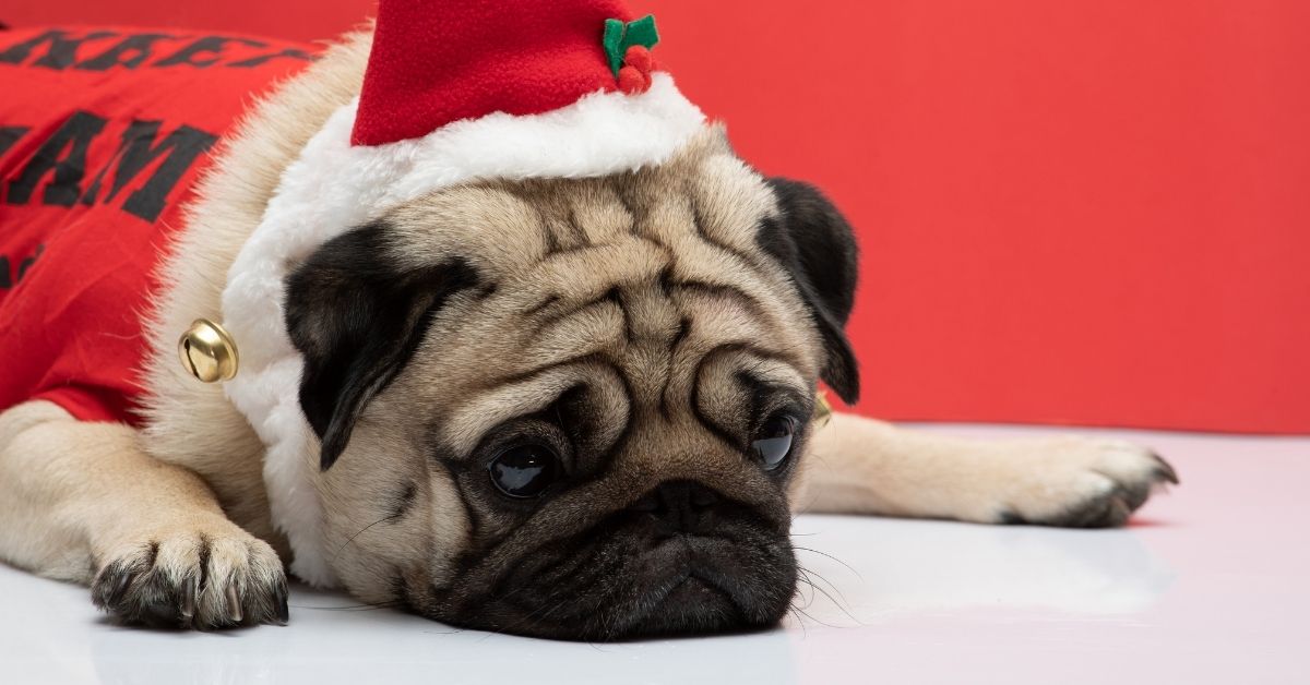 It’s Ok If You’re Not Feeling Very Merry | Unicorn Doctor